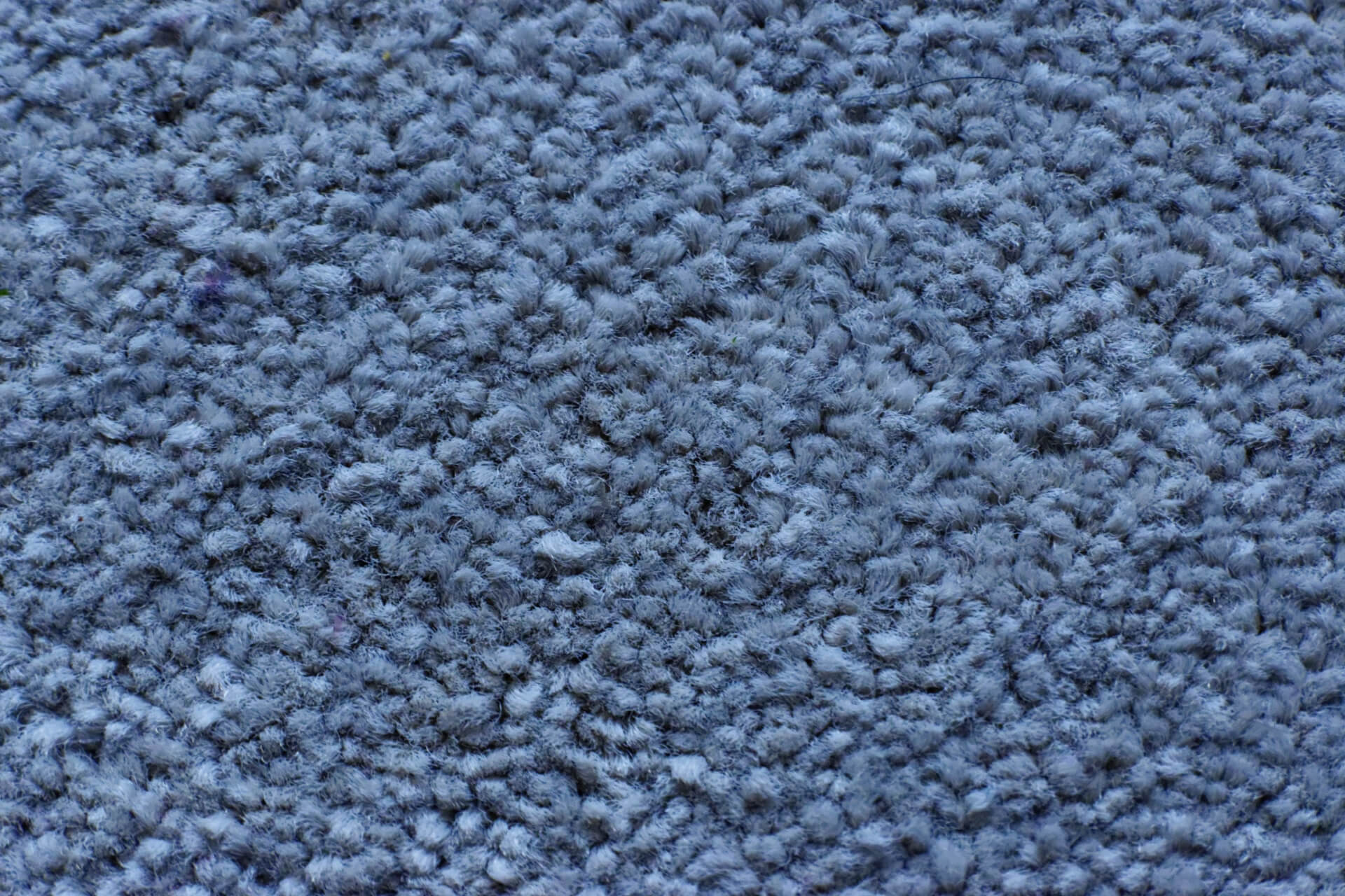 Eco-Friendly Carpet Maintenance Tips - Lakeland Carpet Cleaning Pro